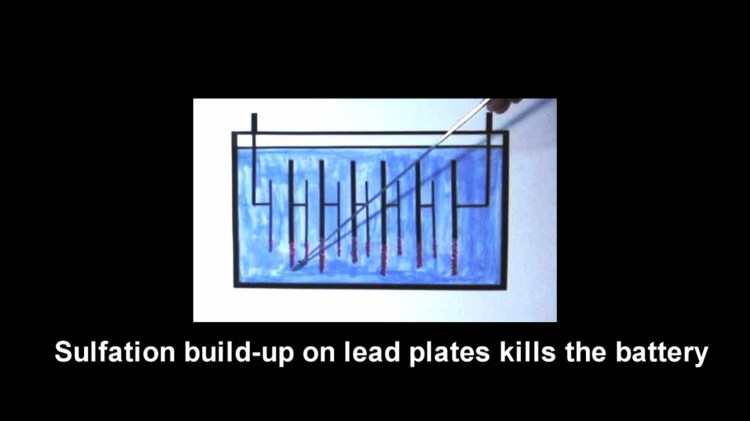 RV 101® Checking & Adding Water to an RV Battery – RV 101® – RV ...