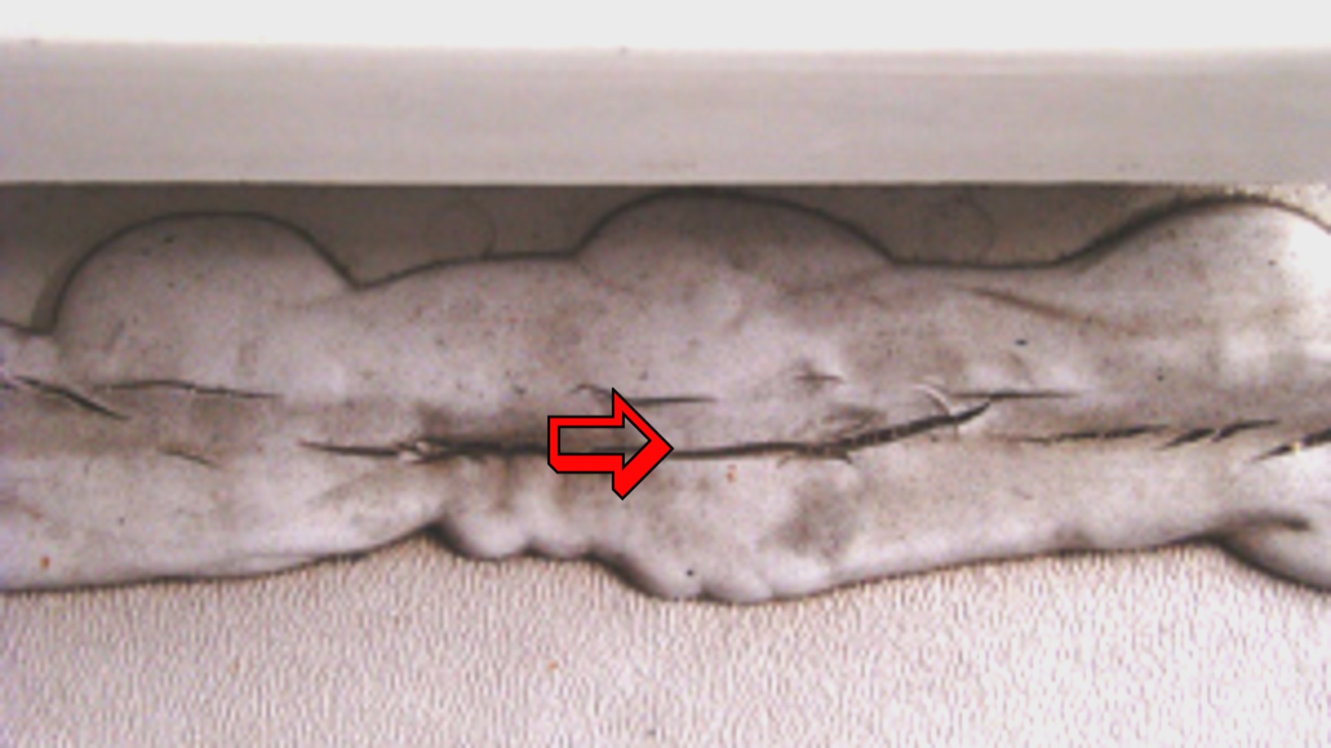 RV 101® – How to Inspect your RV for Water Damage – RV 101® – RV ...